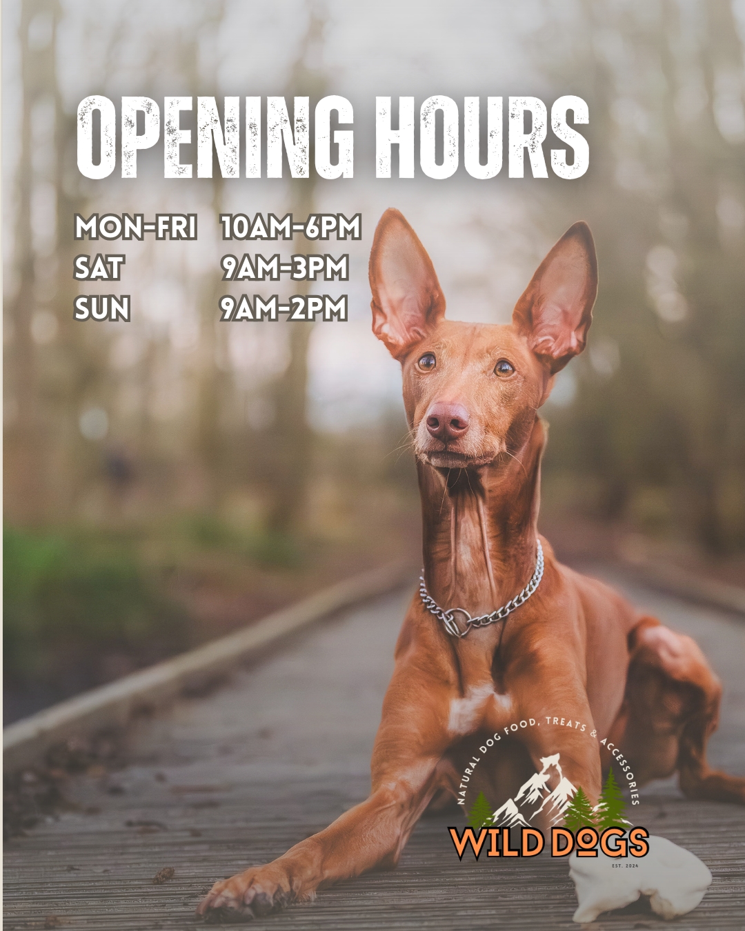 Wild Dogs - Raw Dog Food, Natural Treats, and Accessories