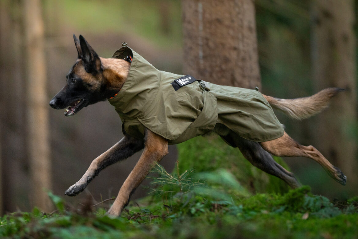 Non-Stop Fjord Raincoat Working Dog – Wild Dogs